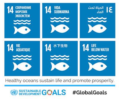 ODS 14 ES - Global cmf blog