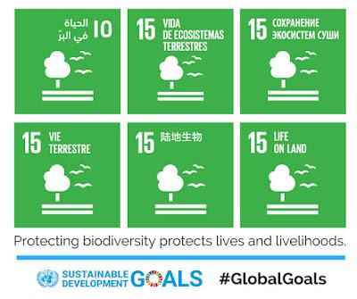 ODS 15 ES - Global cmf blog